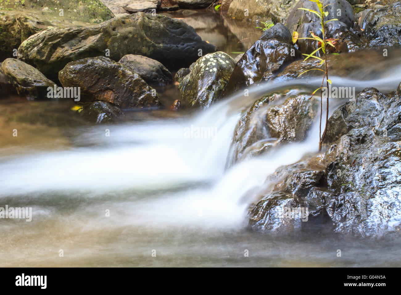 rainforest waterfall and rocks covered with moss Stock Photo - Alamy
