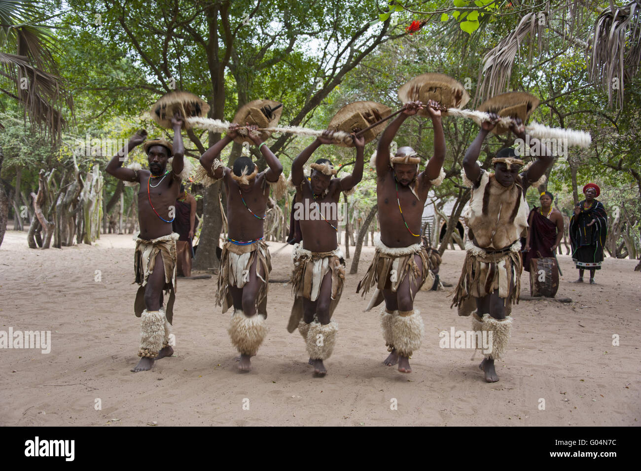 Zulu dancing hi-res stock photography and images - Alamy