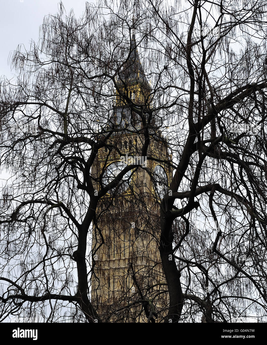 Big Ben, behind a tree. London - England Stock Photo - Alamy