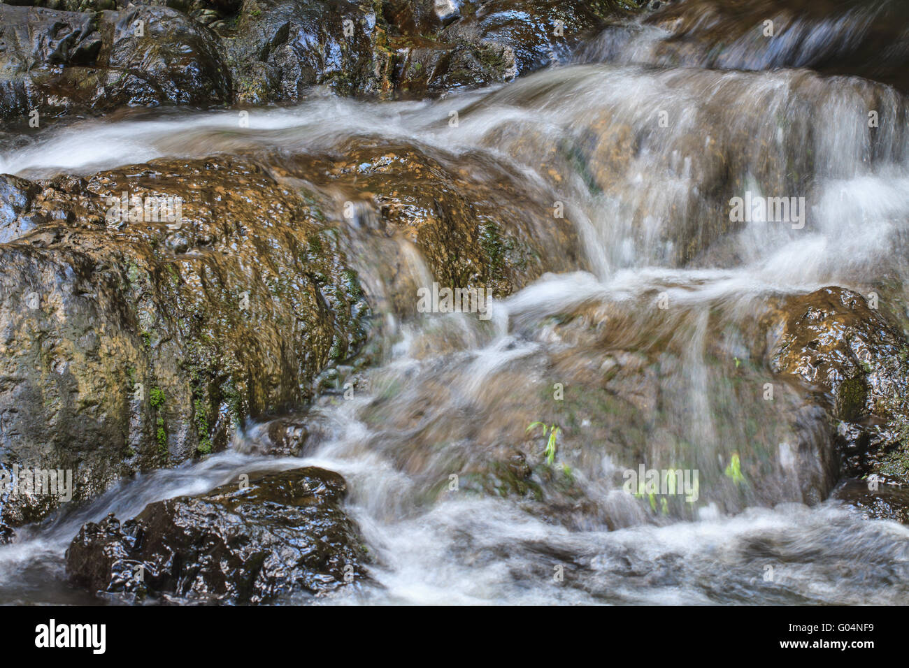rainforest waterfall and rocks covered with moss Stock Photo - Alamy