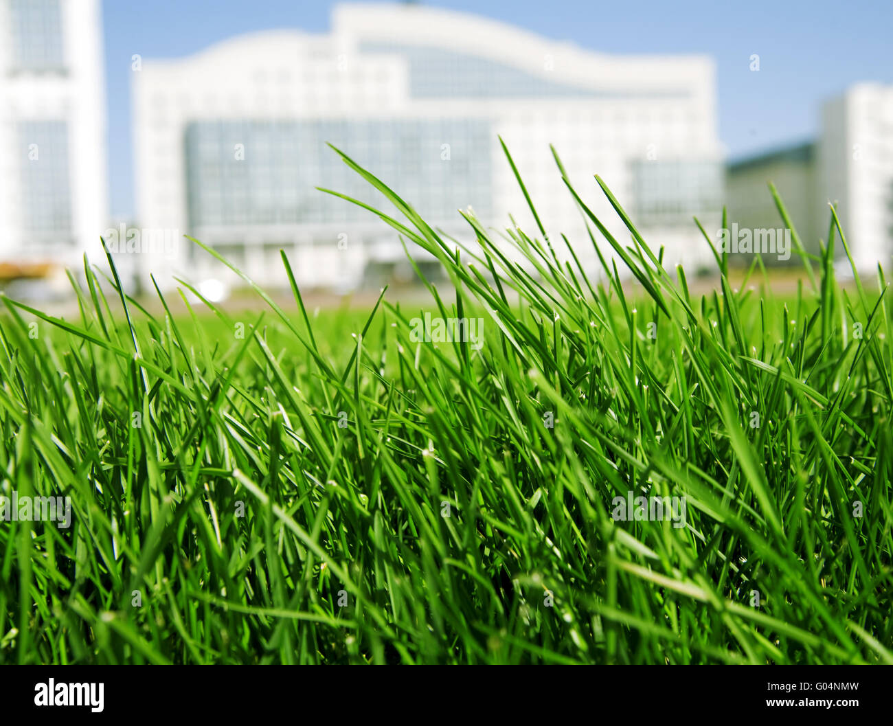 Skyscraper on white background hi-res stock photography and images - Alamy