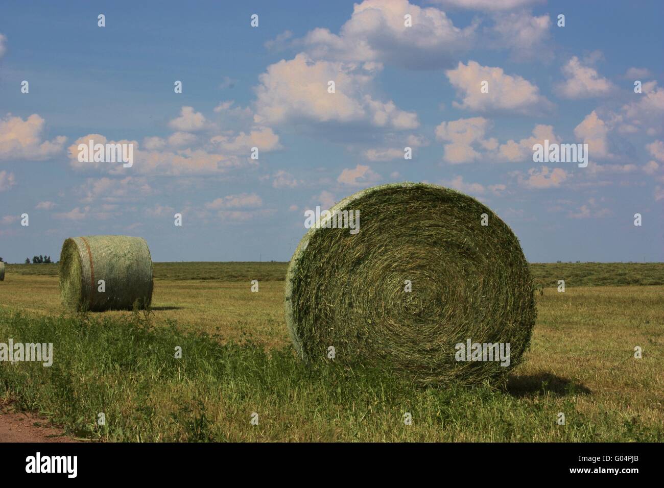 Kansas Country Hay Bale's Stock Photo - Alamy
