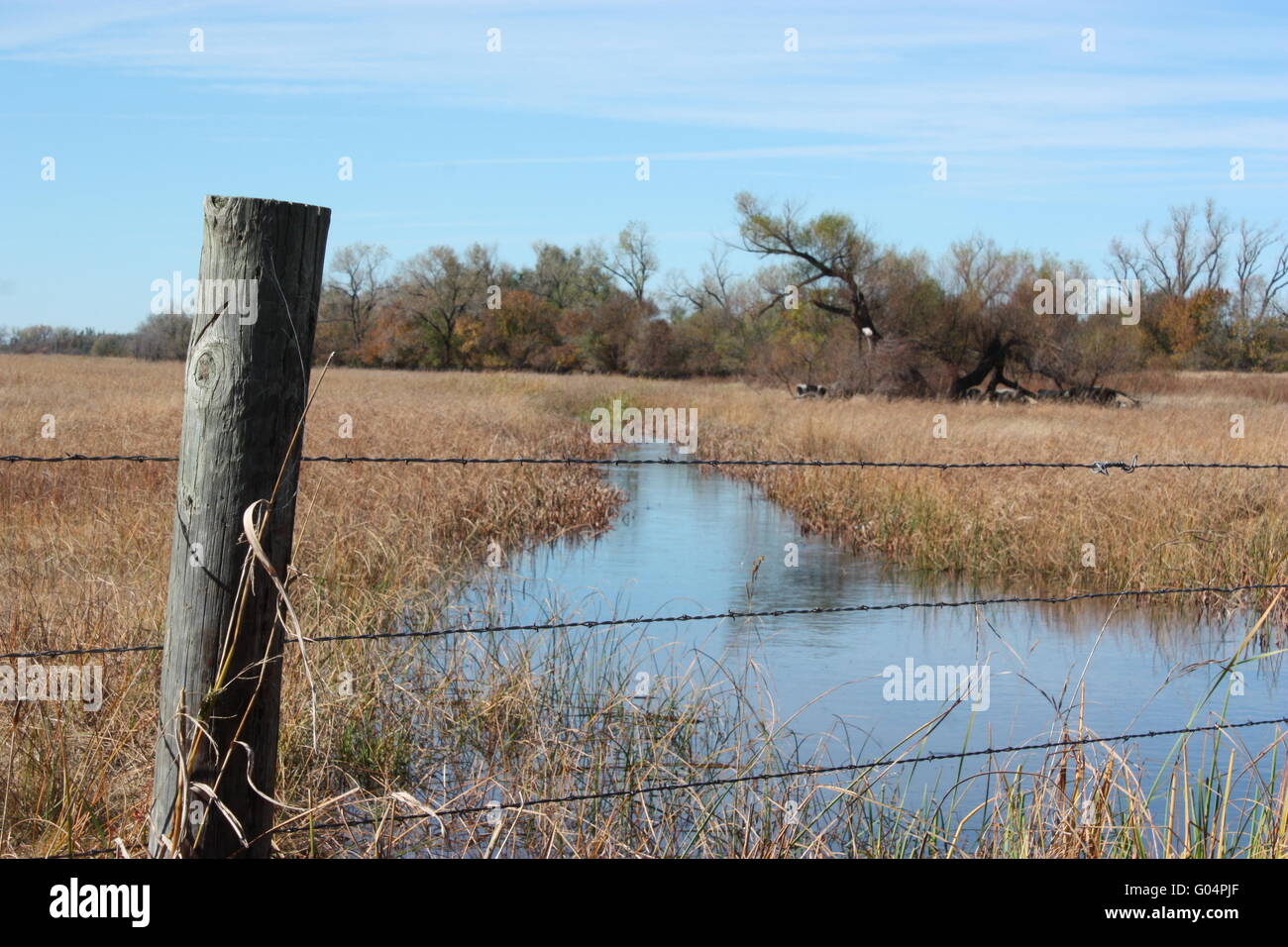 Kansas Flooded Pasture Land Stock Photo - Alamy