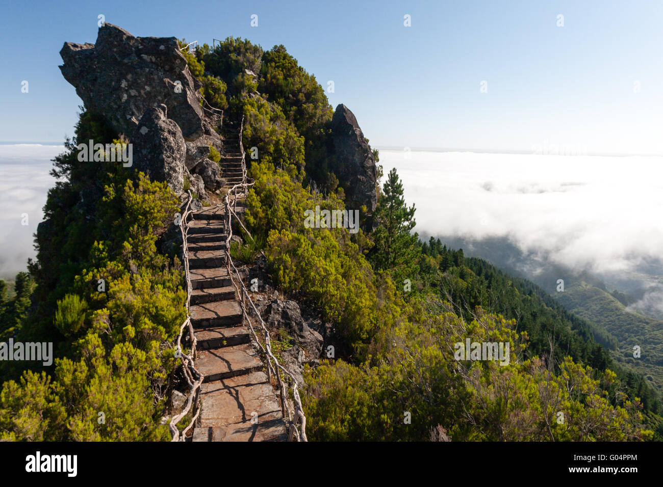 narrow path to hell Stock Photo - Alamy