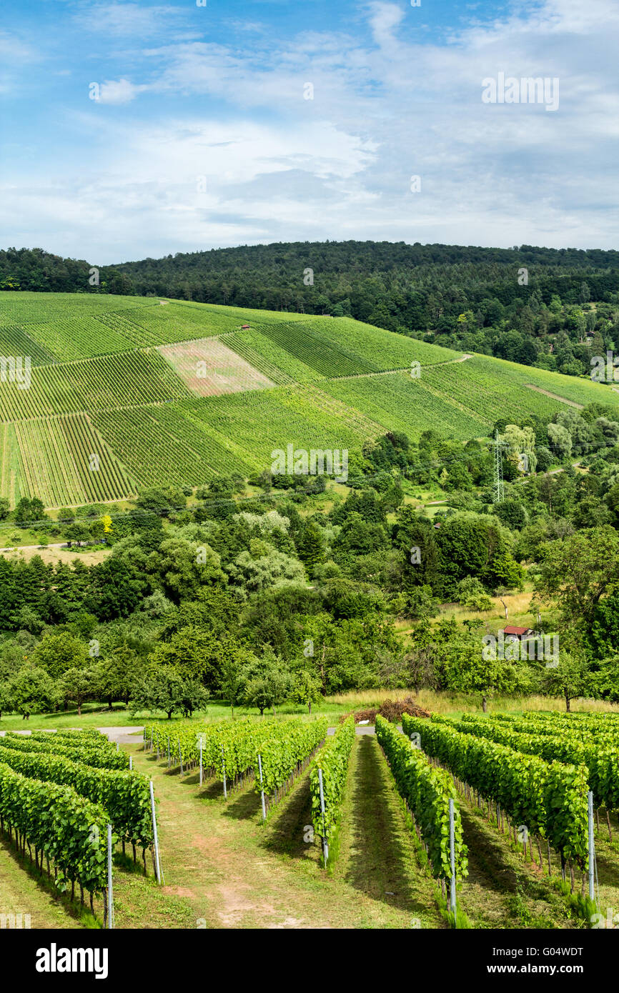 Vine clouds hi-res stock photography and images - Alamy