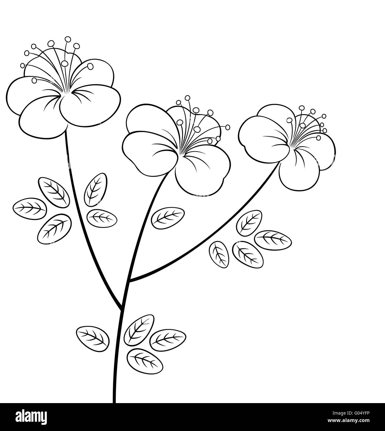 Pretty flower line art Stock Photo - Alamy