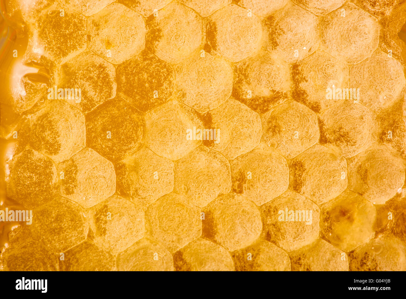 Natural honeycomb full of honey Stock Photo - Alamy