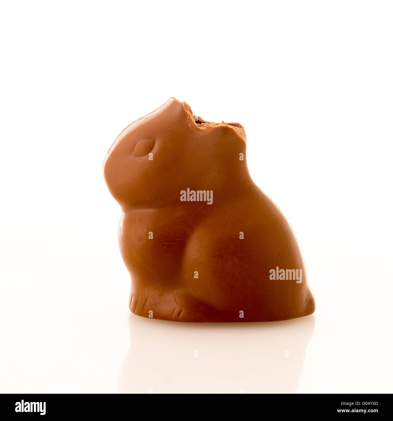 Chocolate rabbit against white background with ear missing Stock Photo ...