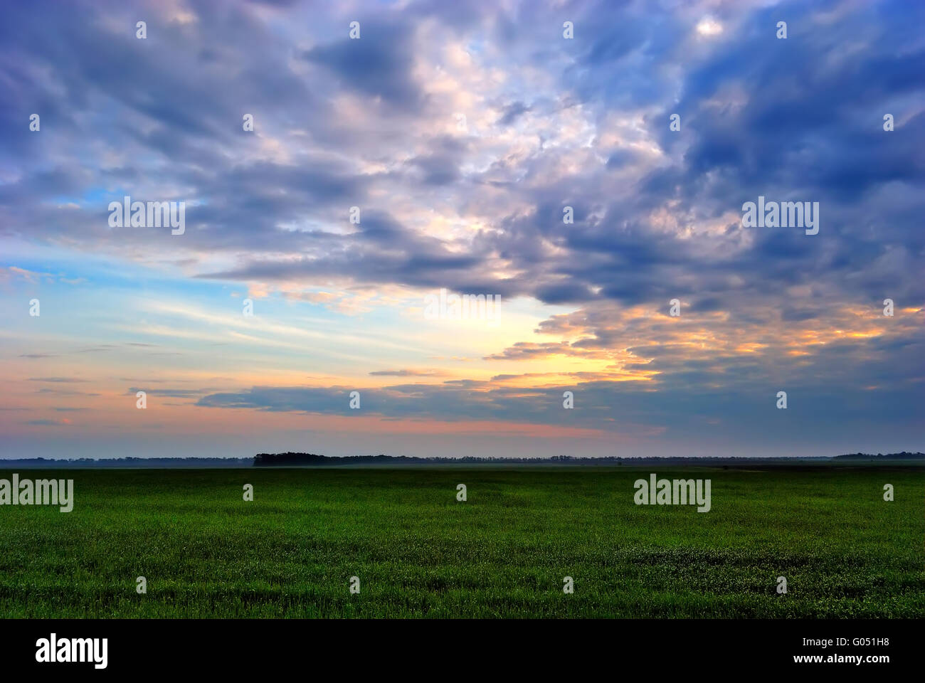 The field of early spring morning Stock Photo - Alamy