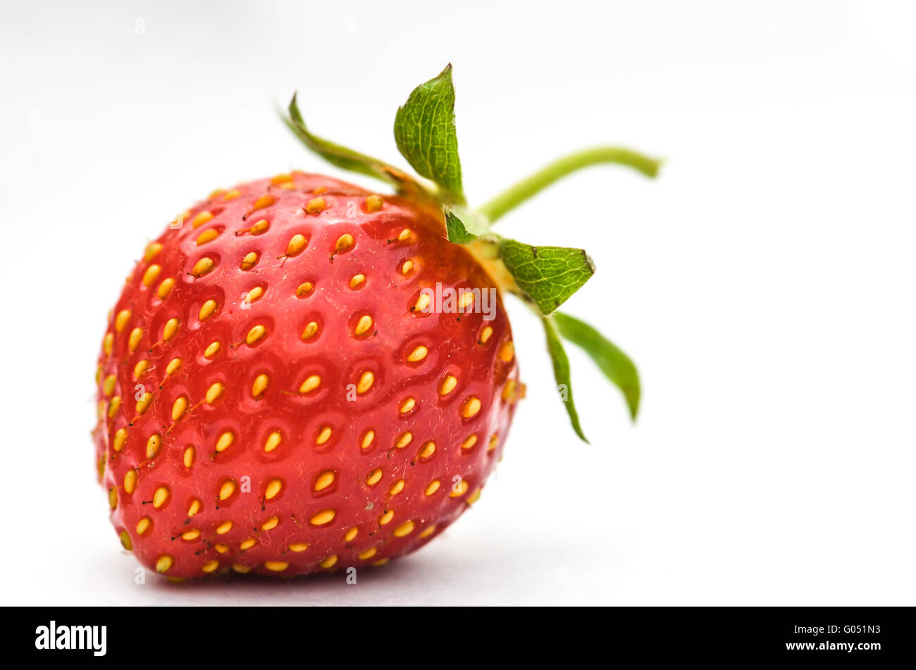 Strawberry breeding hi-res stock photography and images - Alamy