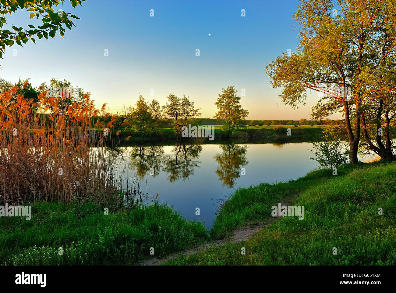 Silent water blue sky and tree view hi-res stock photography and images ...