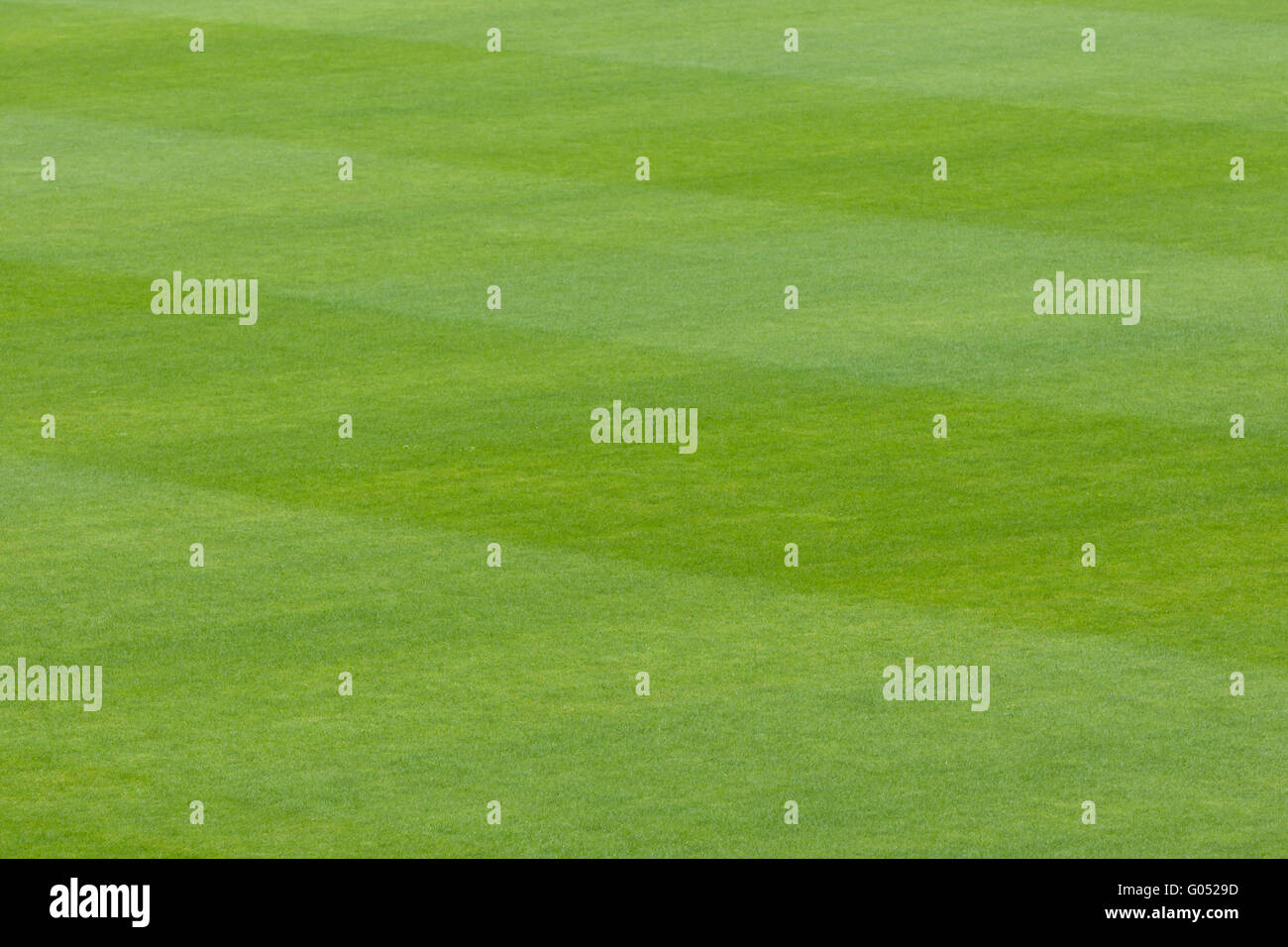 Lush green grass background Stock Photo - Alamy
