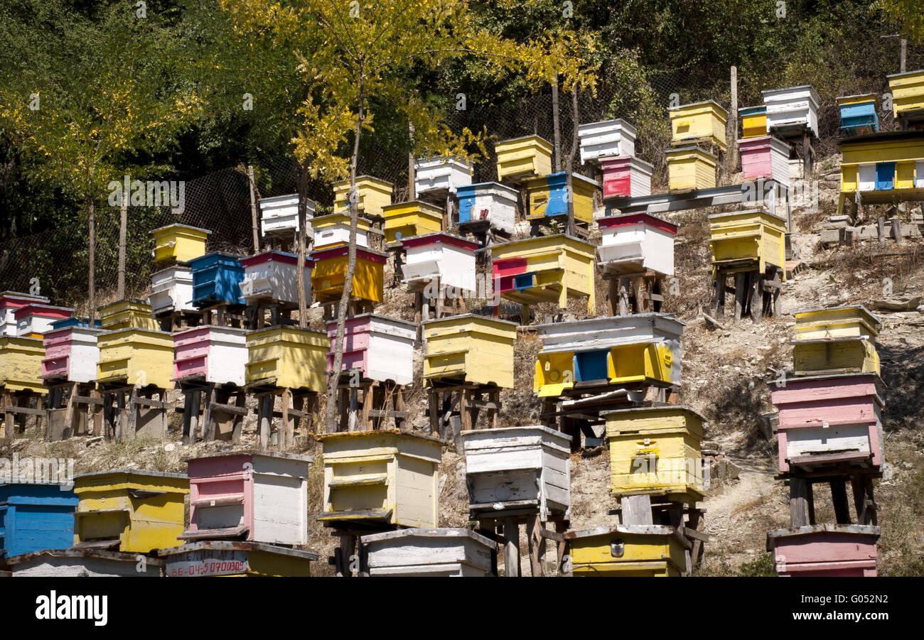 Colored beehives on mountain slope in forest Stock Photo - Alamy