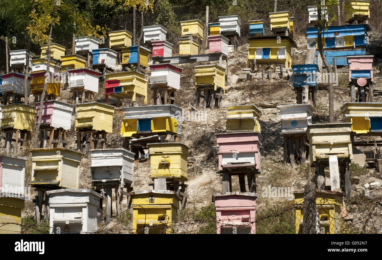 Wooden colored beehives on mountain forest slope Stock Photo - Alamy