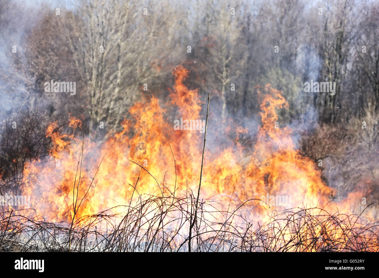 Fire of grass Stock Photo - Alamy