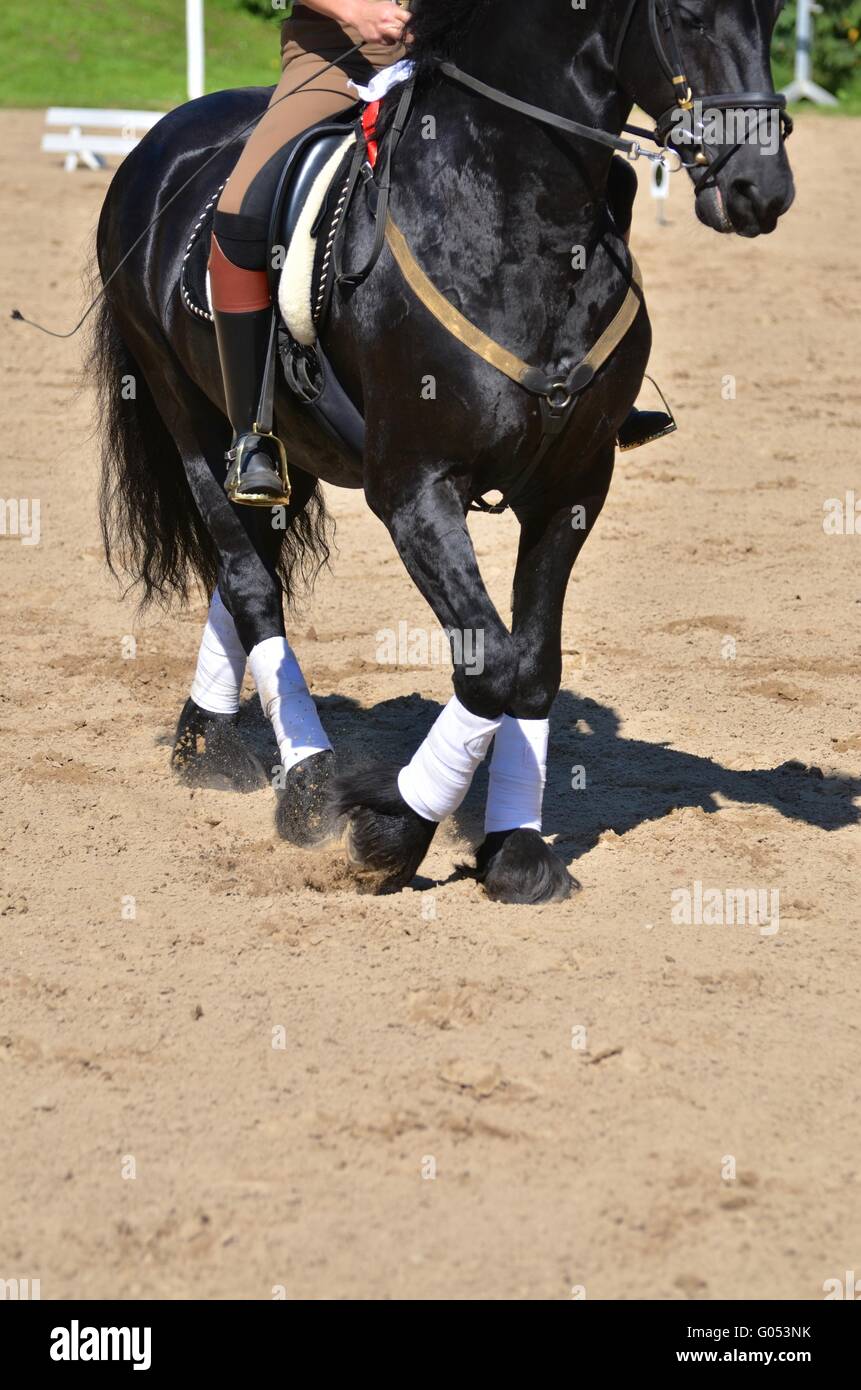 Horsemanship exercise hi-res stock photography and images - Alamy