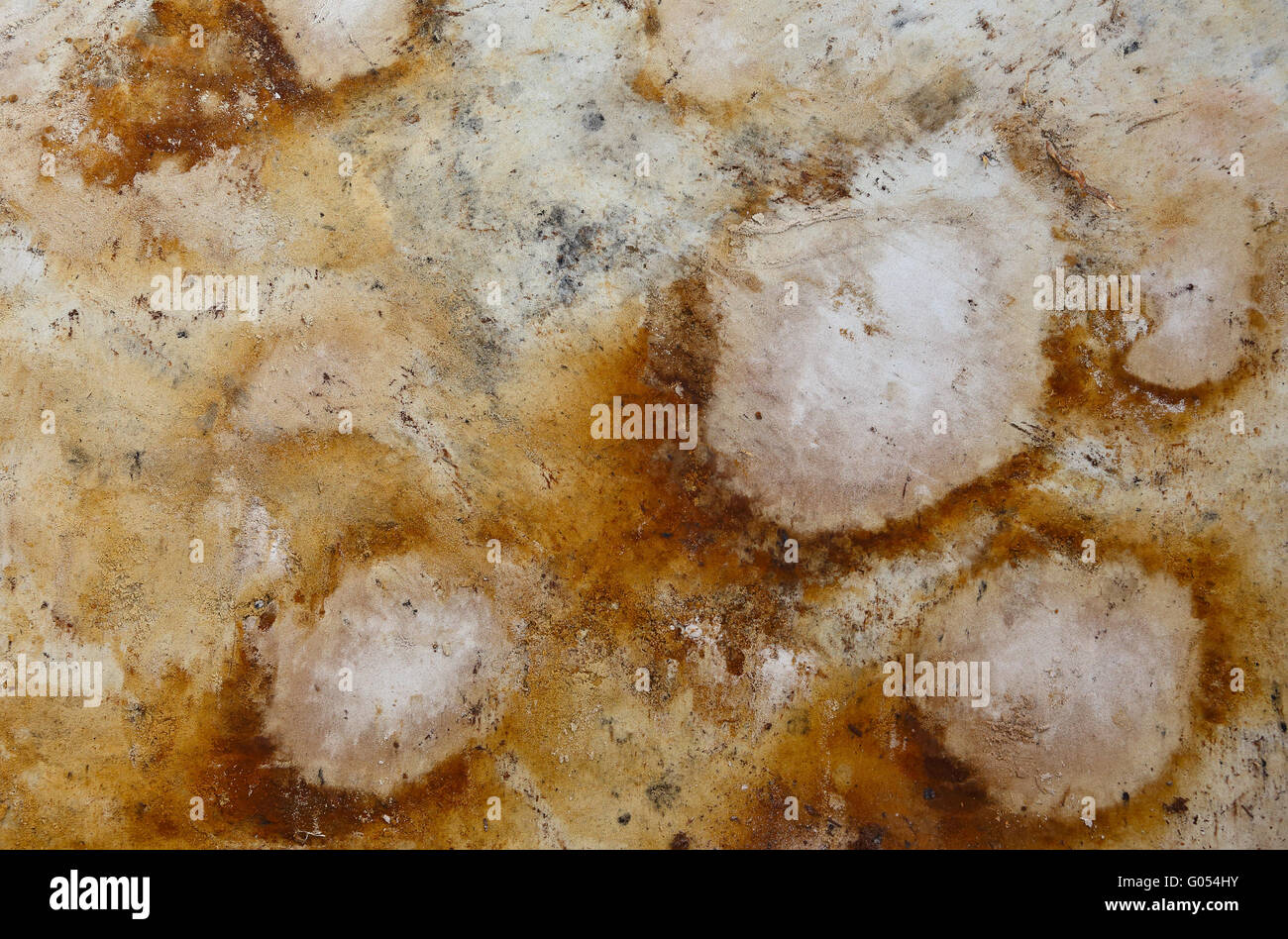 Background - hand dug pit wall with specially trea Stock Photo - Alamy