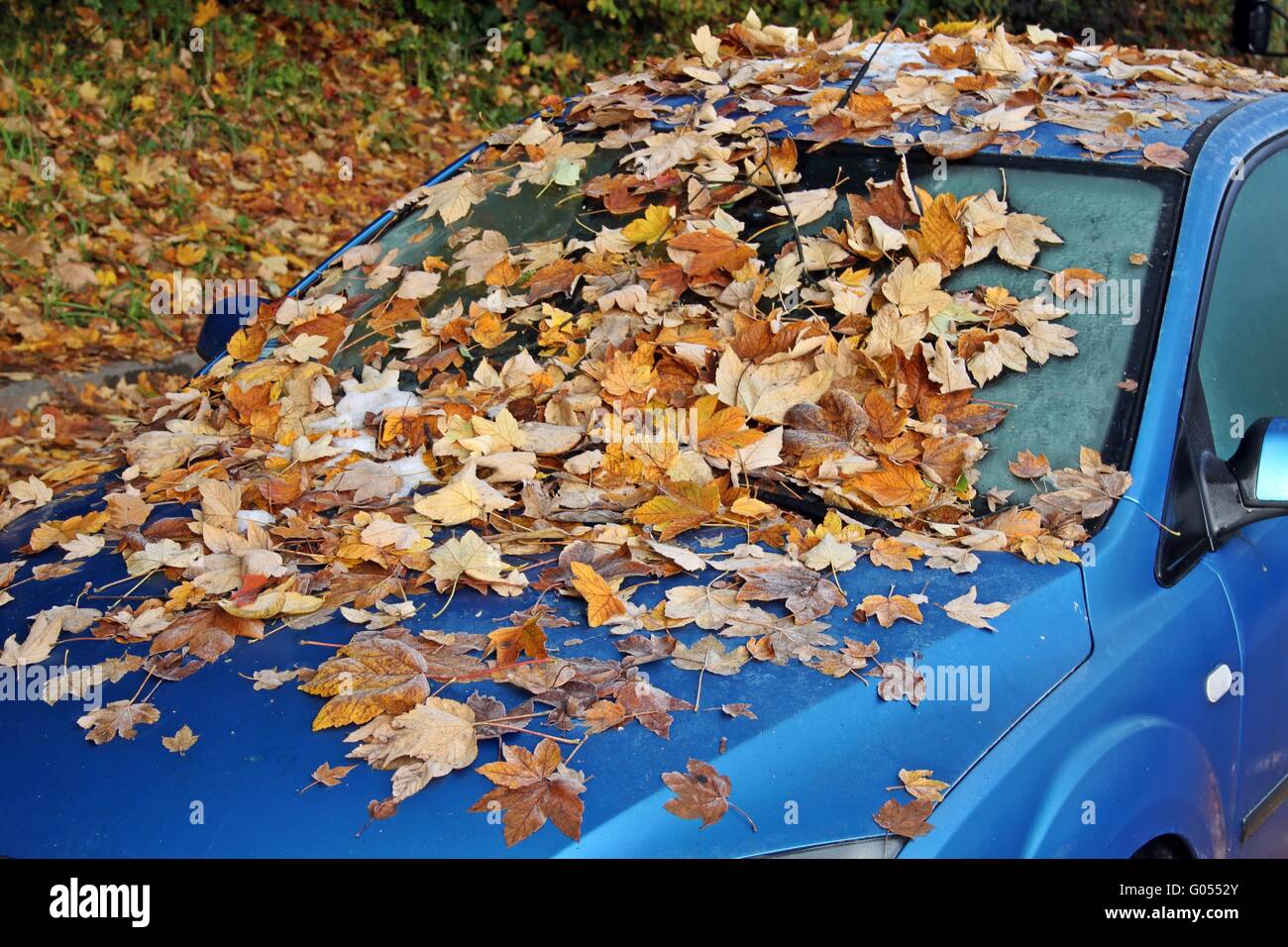 Why is autumn hi-res stock photography and images - Alamy