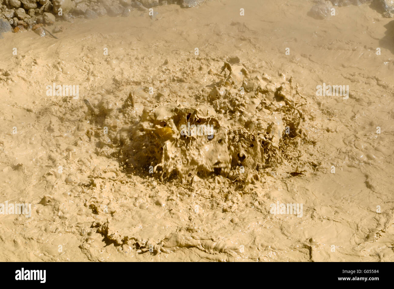 Boiling Mud Pot in Mount Lassen National Park Stock Photo - Alamy