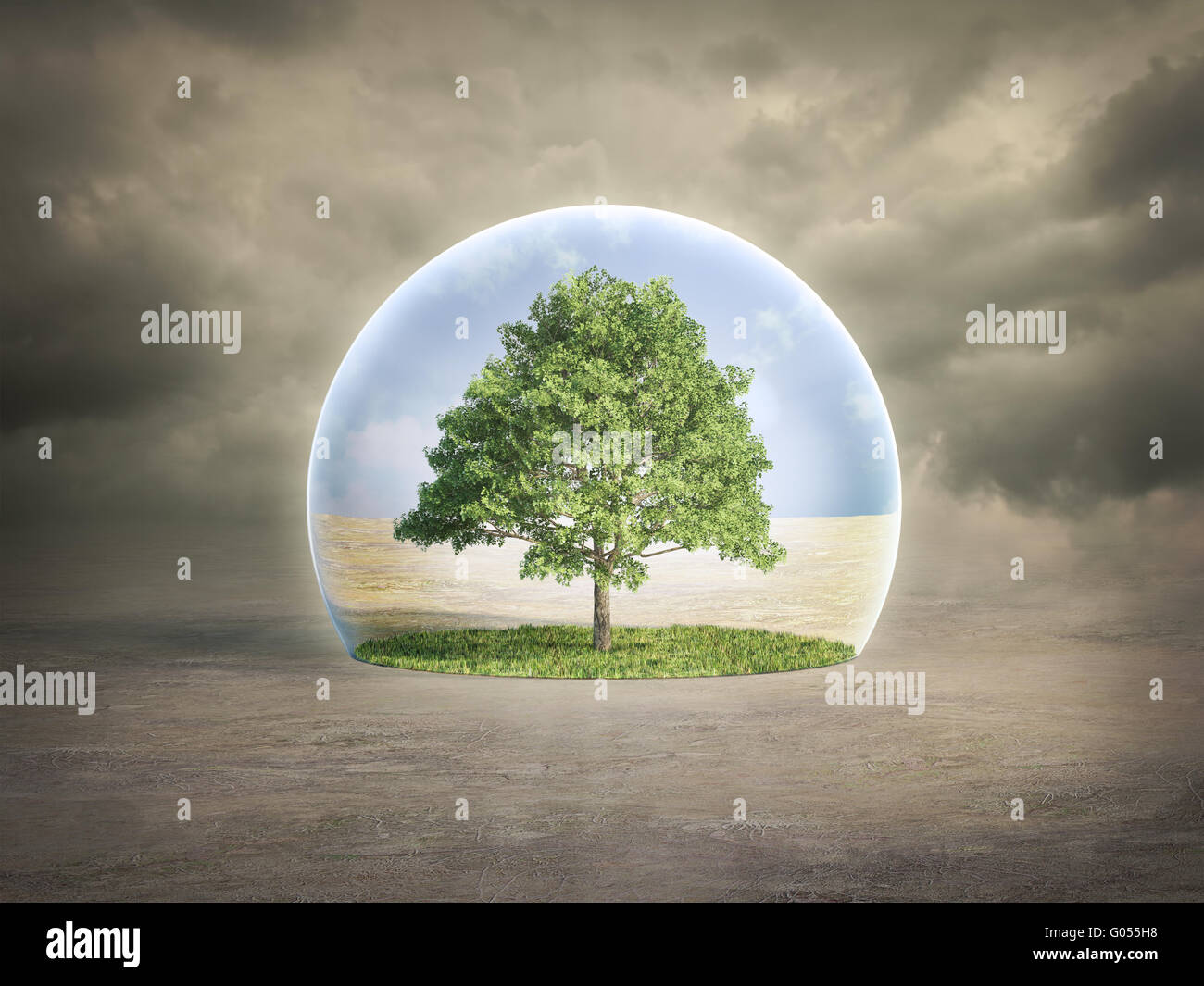 Environmental protection concept - tree in a bubble Stock Photo - Alamy