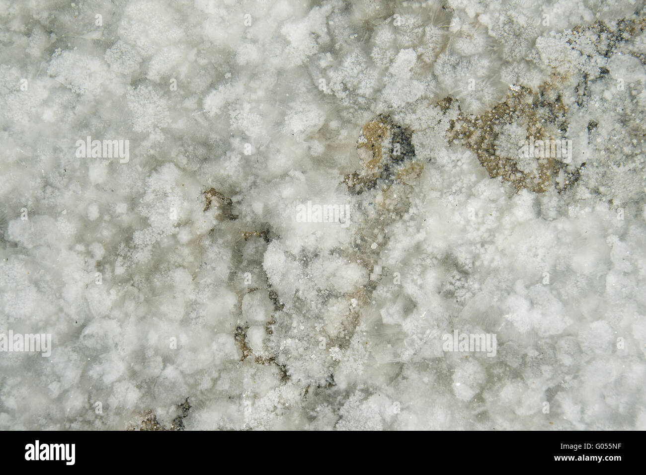 Texture of raw salt on a bottom of a salty lake Stock Photo - Alamy