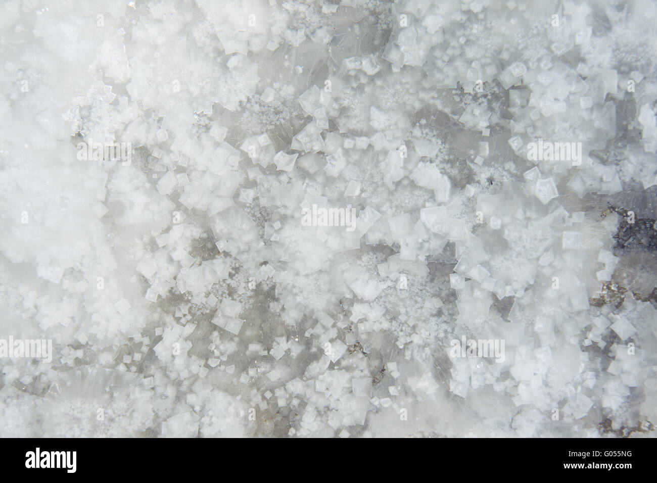 Texture of raw salt on a bottom of a salty lake Stock Photo - Alamy