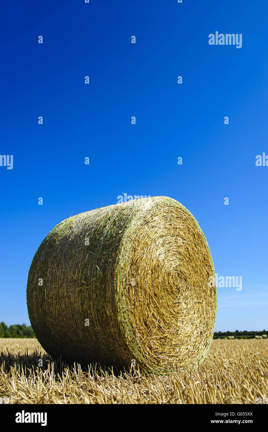 single straw bale is on the field against a blue s Stock Photo - Alamy