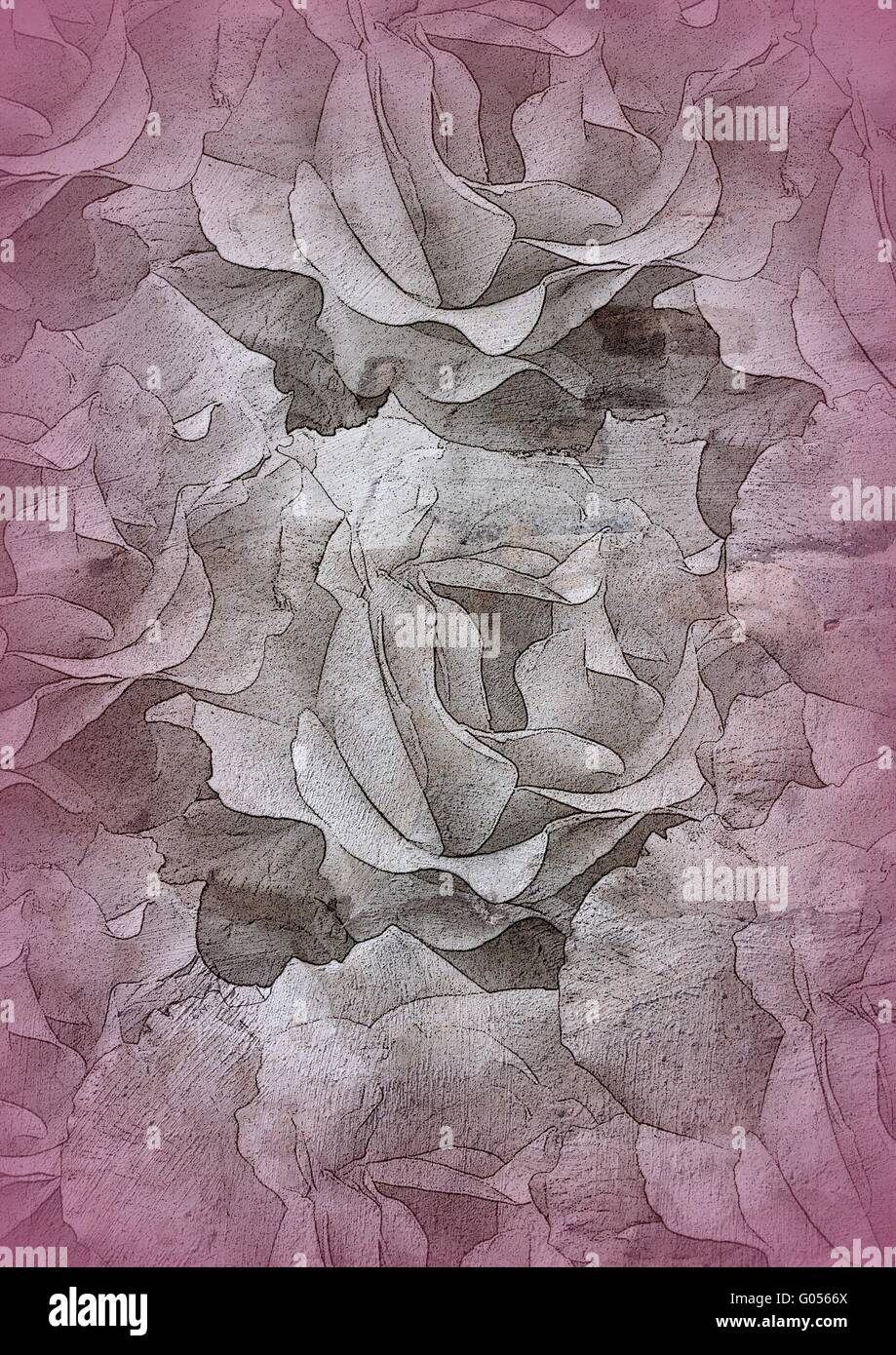 texture of roses Stock Photo - Alamy