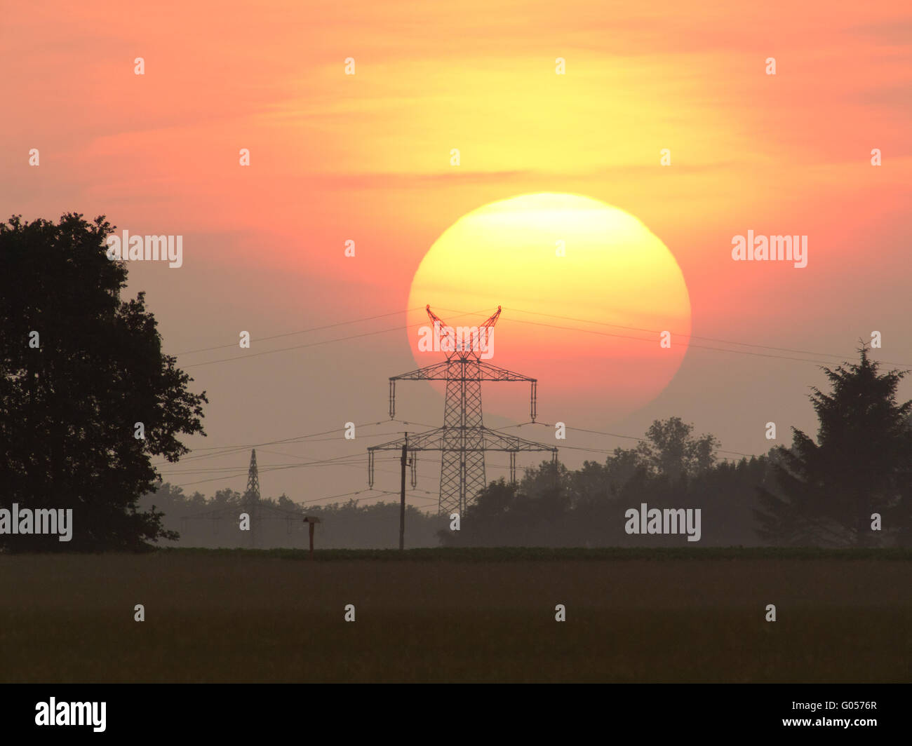 Pylon tree hi-res stock photography and images - Alamy