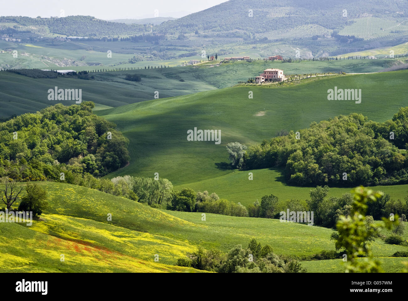 The gentle hills of Tuscany Stock Photo - Alamy
