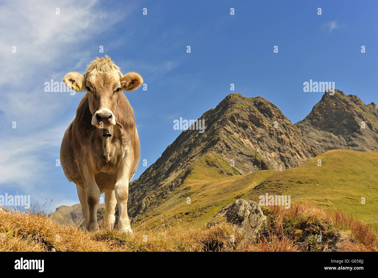Queen of the mountains hi-res stock photography and images - Alamy