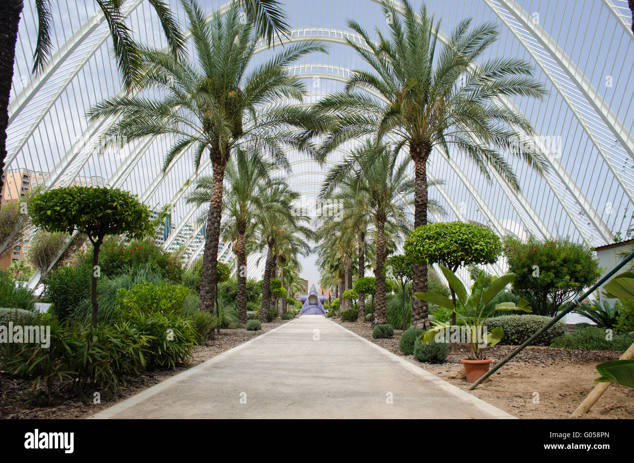 Arts and Science Center in Valencia Stock Photo - Alamy