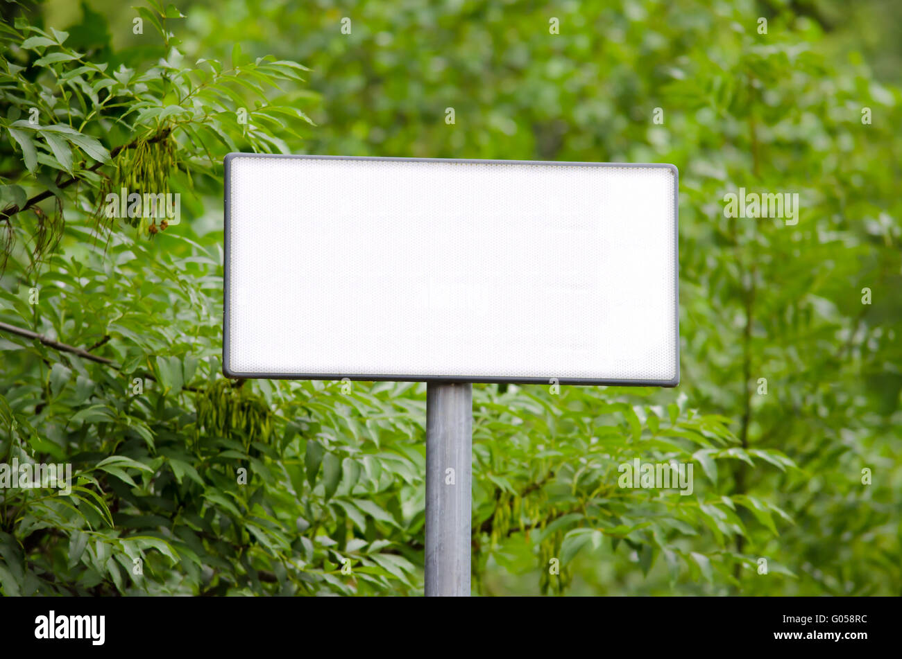 Blank white sign in front of forest trees Stock Photo - Alamy