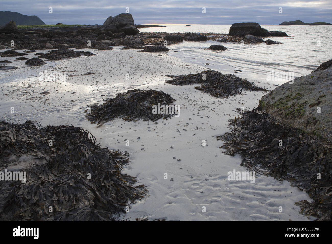 Midsummer night at Seacoast Ramberg, north norway Stock Photo - Alamy