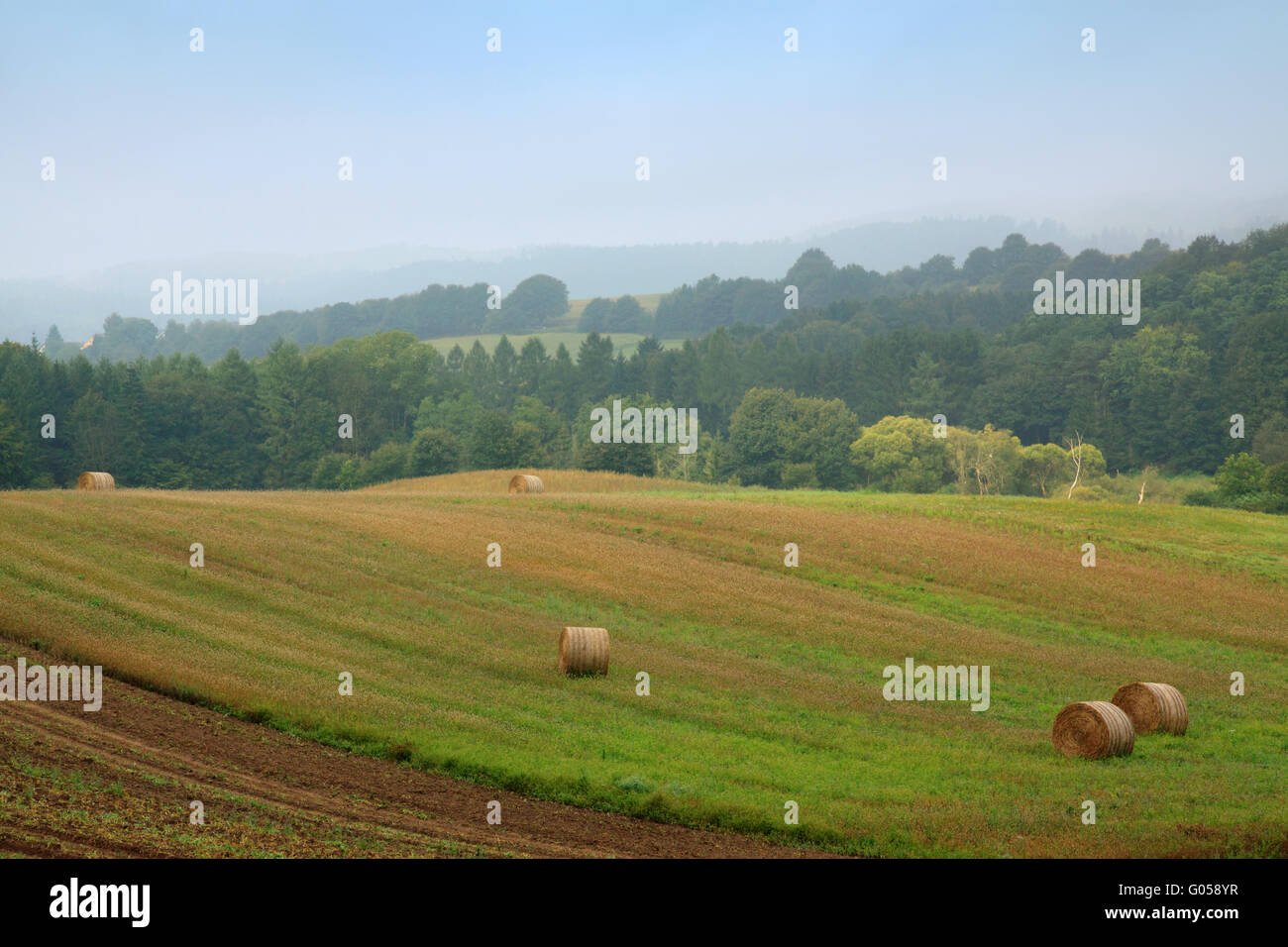 Gorgeous nature. Germany Stock Photo - Alamy