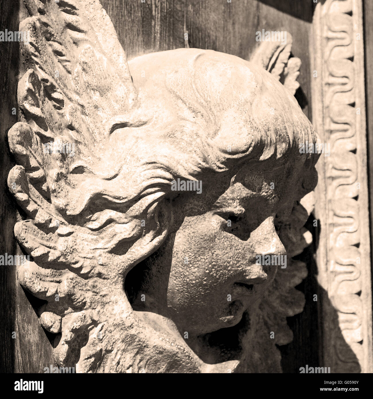 abstract angel texture of a brown antique wooden old door Stock Photo ...