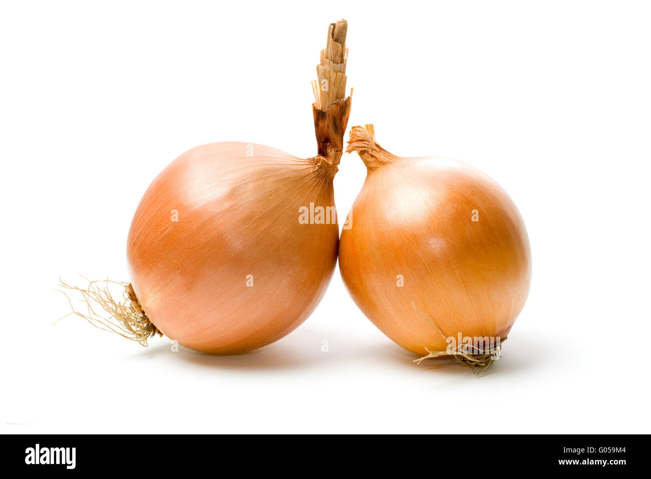 Onion isolated on white background Stock Photo - Alamy