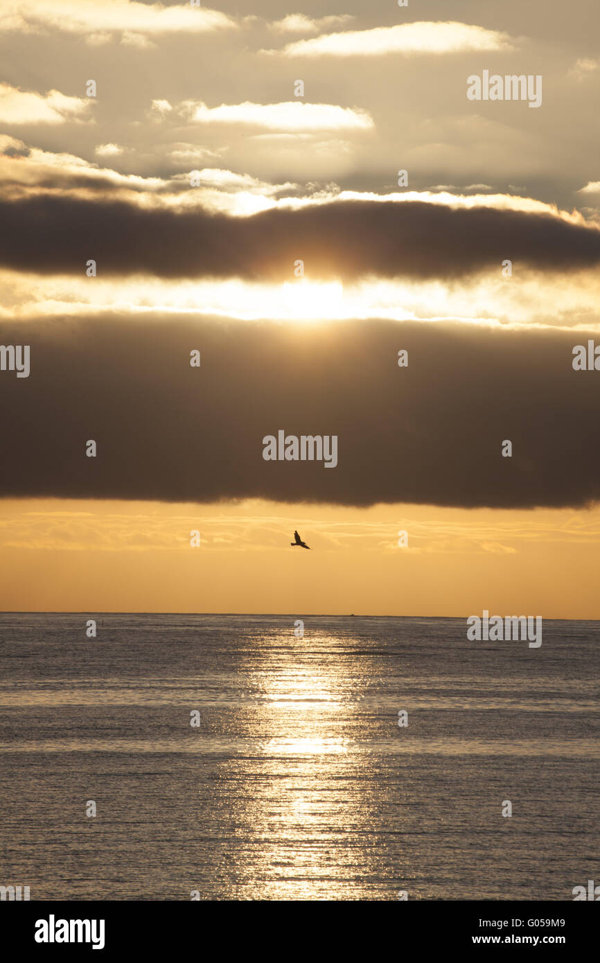 Midsummer night at Seacoast Ramberg, north norway Stock Photo - Alamy