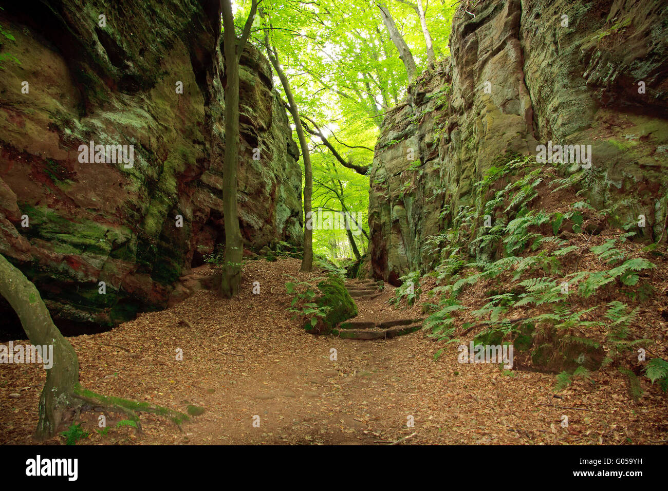 The Path. Germany Stock Photo - Alamy