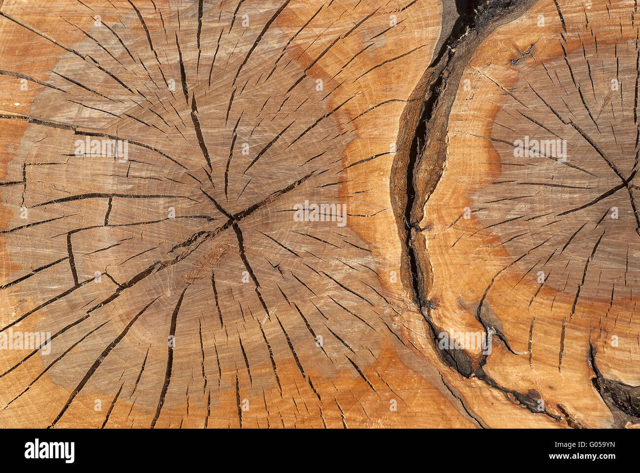 Oak log surface with cracks as background Stock Photo - Alamy