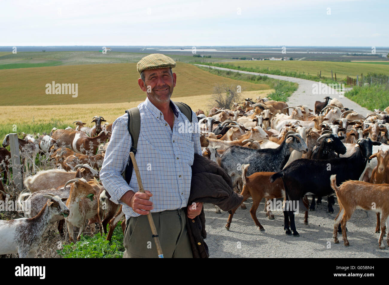 Goatherd with stick hi-res stock photography and images - Alamy