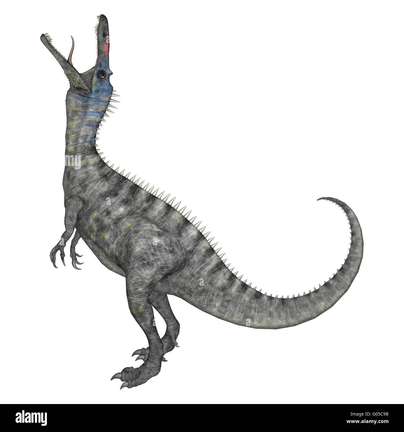 3D rendering of a dinosaur Suchomimus isolated on white background ...