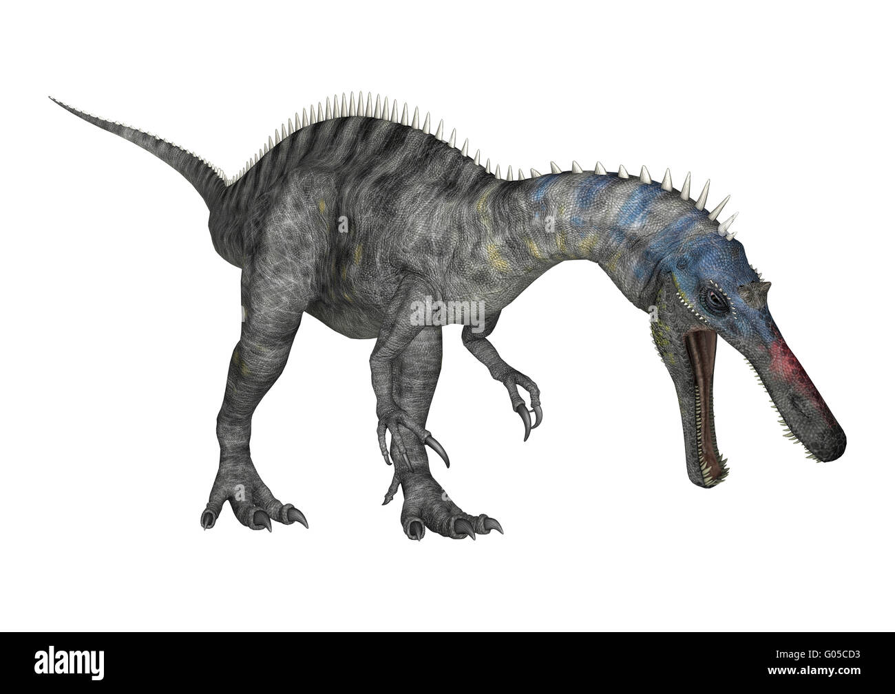 3D rendering of a dinosaur Suchomimus isolated on white background ...