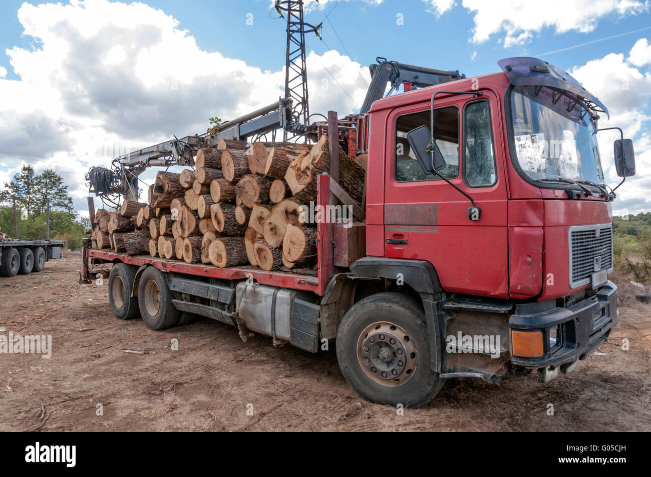 Loading of felled timber in a truck with crane Stock Photo - Alamy