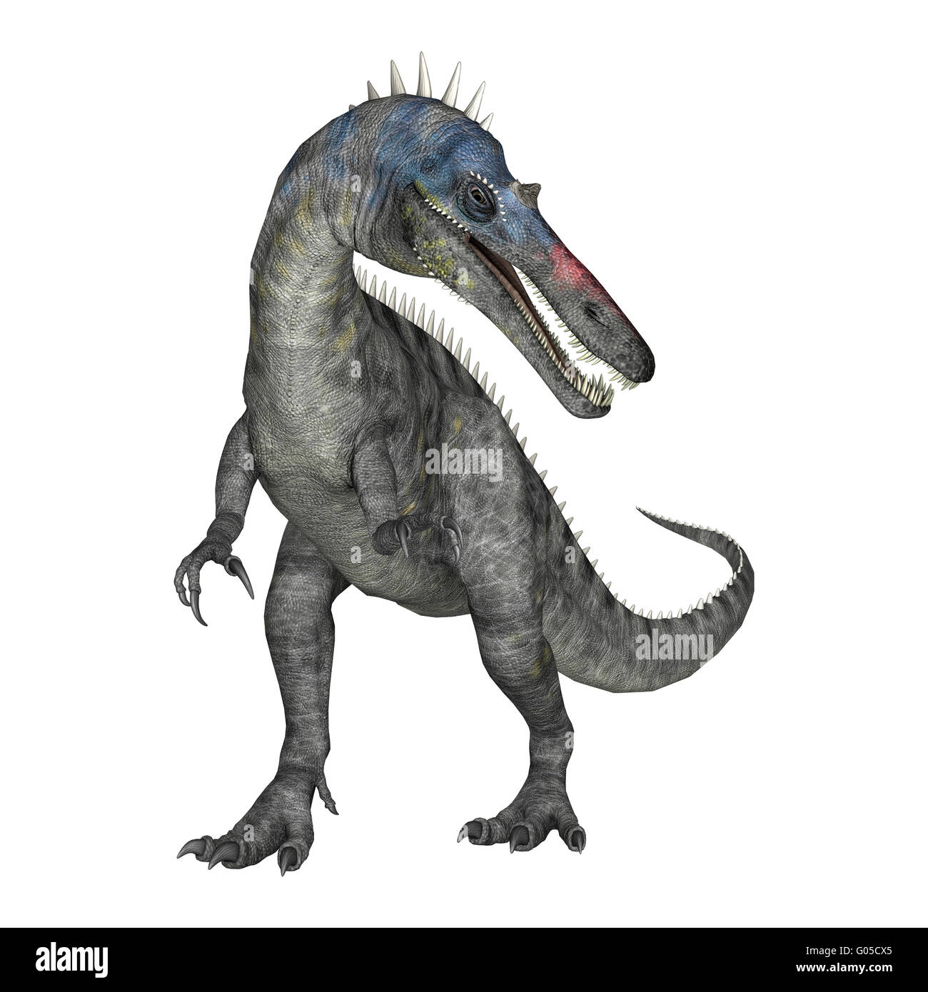 3D rendering of a dinosaur Suchomimus isolated on white background ...