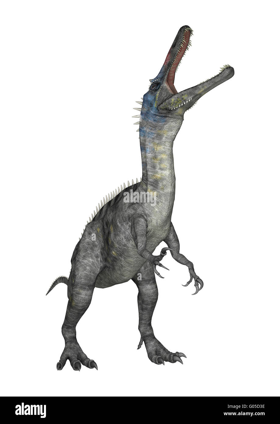 3D rendering of a dinosaur Suchomimus isolated on white background ...