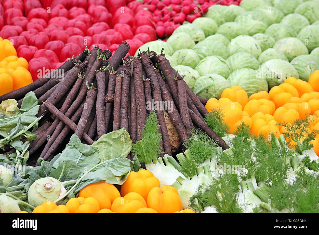 Grunzeug hi-res stock photography and images - Alamy