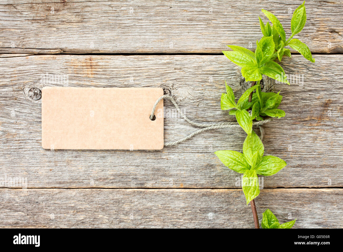 Tree branch with blank tag tied with string Stock Photo - Alamy