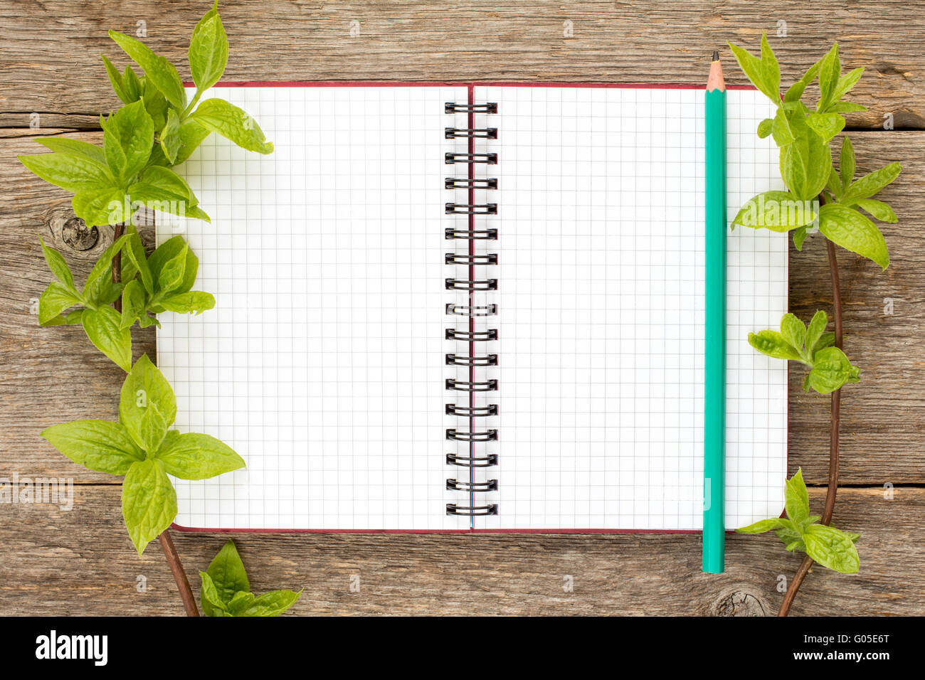 Tree notebook hi-res stock photography and images - Alamy