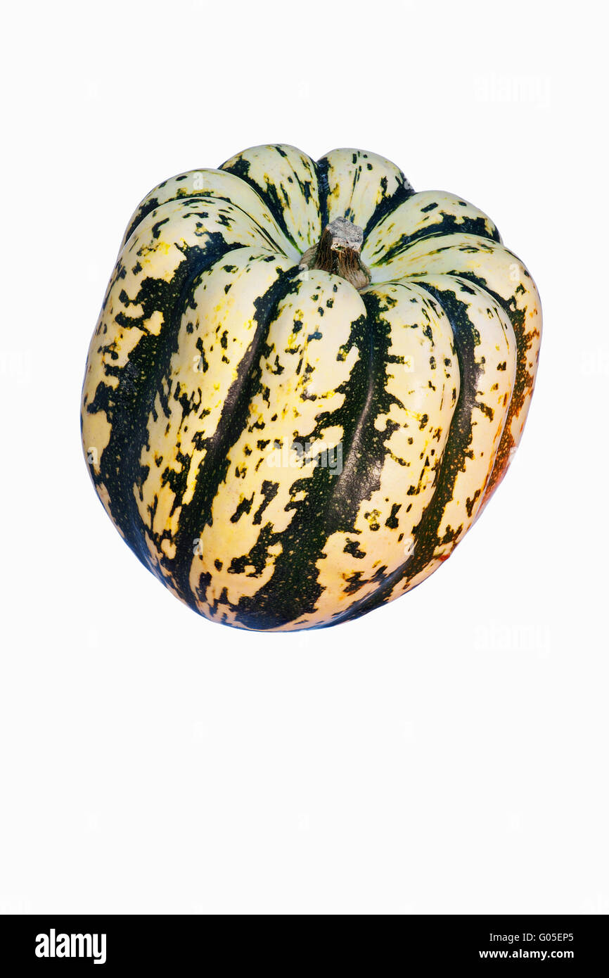 Sweet dumpling squash Stock Photo - Alamy